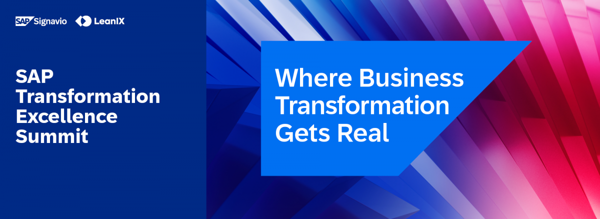 SAP Transformation Excellence Summit 2024 - SAP Signavio